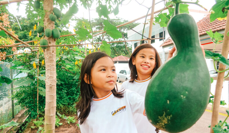 The Grange Becomes the First School in Singapore to Join The Alliance ...