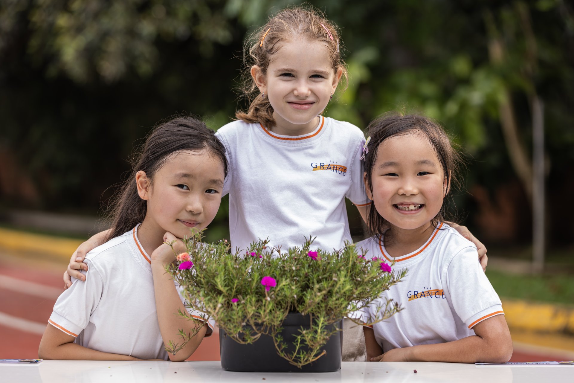 Sustainability | The Grange Institution